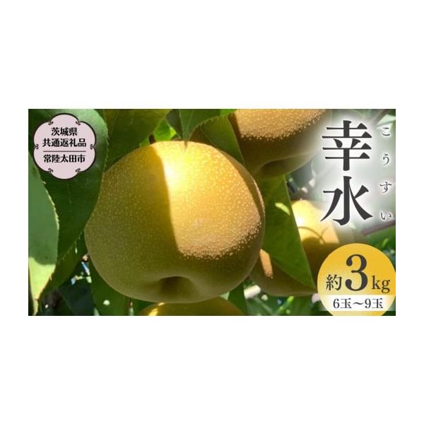 容量幸水梨 約3kg（3L × 6〜9玉）消費期限到着後、お早めにお召し上がりください発送期日入金確認後、2026年8月中旬から発送※目安となる例年の発送時期です。天候や発育により変動する場合もございます。配送冷蔵 別送申込期日2026年8...