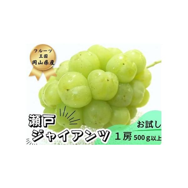 容量朝採り新鮮！人気ぶどう瀬戸ジャイアンツ1房（500ｇ以上）※気候や天災等の影響で、房でのお届けが難しい場合は、小房を組み合わせてや、粒切りの状態でお送りする可能性があります。消費期限到着次第、お早めにお召し上がりください。保存方法：到着...