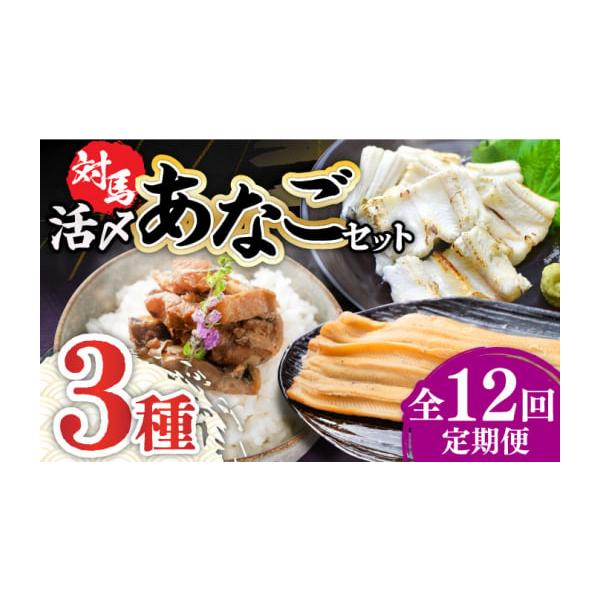 容量以下の内容を全12回（月1回）お届けします。●煮あなご：1袋(100g)●あなご佃煮：1袋(60g)●あなご開き：1袋(150g)【原料原産地】対馬産【加工地】長崎県対馬市豊玉町貝鮒4-11【※お読みください】離島のため、天候や船の運行...