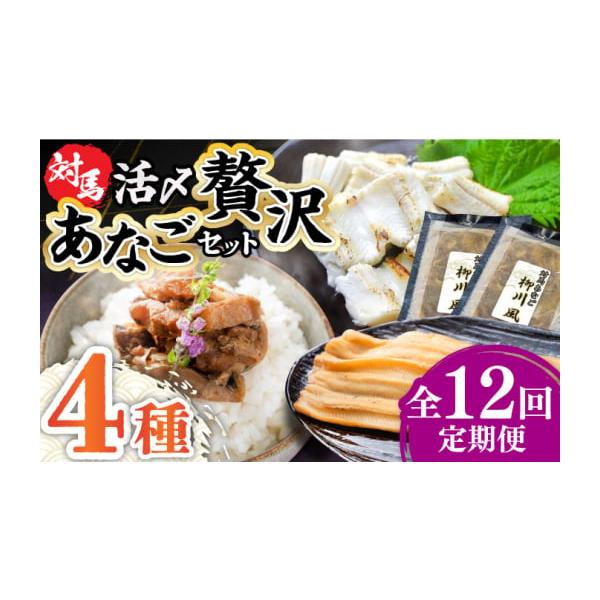 容量以下の内容を全12回（月1回）お届けします。●煮あなご：2個●あなご佃煮：1個●あなご開き：2個●あなご柳川風：2個【原料原産地】対馬産【加工地】長崎県対馬市豊玉町貝鮒4-11【※お読みください】離島のため、天候や船の運行状況により、お...