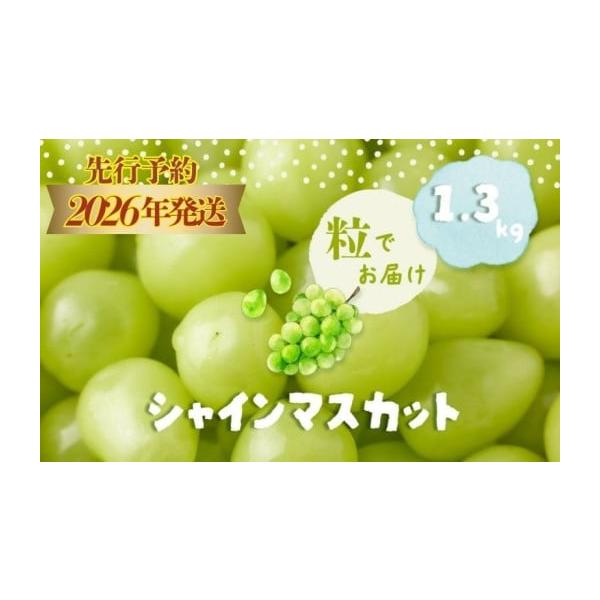 容量シャインマスカット約1.3kg（粒） ※こちらの商品は房ではありません。粒の状態で届きます。発送期日2026年８月下旬頃から準備が整い次第、順次発送させて頂きます。配送冷蔵 別送申込期日期間限定（2025年09月10日〜2026年08月...