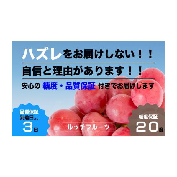 容量クイーンニーナ2〜3房（約1kg）消費期限到着後は冷蔵庫にて保管の上、青果ですのでお早めにお召し上がりください発送期日2026年8月下旬〜10月下旬頃、収穫次第で順次発送予定※天候や収穫状況により前後する場合がございます配送冷蔵 時間指...