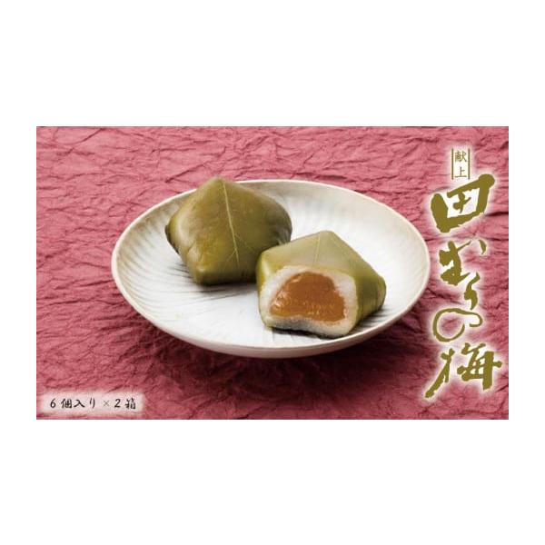 容量献上田むらの梅6個×2箱消費期限30日発送期日【スピード発送】決済から7日程度で発送配送常温 時間指定 別送申込期日通年事業者株式会社松栄堂申込条件何度も申し込み可