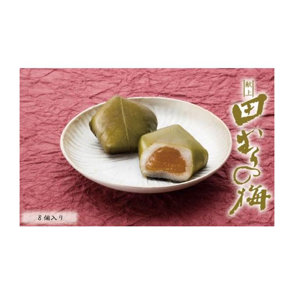 容量献上田むらの梅8個×1箱消費期限30日発送期日【スピード発送】決済から7日程度で発送配送常温 時間指定 別送申込期日通年事業者株式会社松栄堂申込条件何度も申し込み可