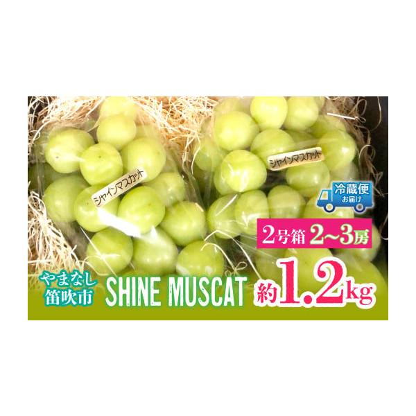 容量シャインマスカット2号箱 約1.2kg（2〜3房入）消費期限到着後は冷蔵庫で保存してお早めにお召し上がりください。発送期日2026年8月下旬〜10月下旬を予定※天候状況により前後する場合がございます。※沖縄・離島には配送不可配送冷蔵 時...