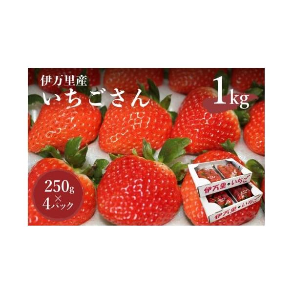 容量苺（品種 いちごさん）250ｇ×4パック合計1kg消費期限到着後はお早めにお召し上がり下さい発送期日令和８年１月頃から４月頃まで、順次発送します。（イチゴの生育をみて順次発送いたします）●出荷時に伝票番号を記載した「出荷完了メール」を配...