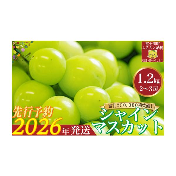 容量シャインマスカット　1.2kg以上（2〜3房）※冷蔵配送消費期限発送日から約5日　※青果品のためなるべく早くお召し上がり下さい発送期日２０２６年８月中旬〜９月下旬ごろ配送冷蔵 時間指定 別送申込期日通年事業者株式会社斎庵申込条件何度も申...