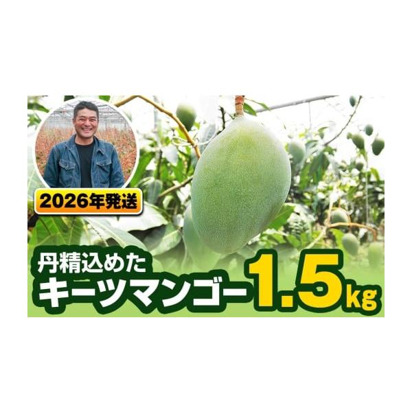 容量キーツマンゴー1.5kg（1玉〜3玉）※玉数・大きさは指定できません。消費期限注意：冷蔵庫にすぐ入れるのはお待ちください！商品到着後は追熟（一定期間常温で置き完熟させること）し、食べ頃になったら冷やしてお召し上がりください。※甘い香りが...