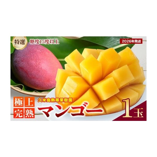 容量【特選品】糖度15度以上完熟マンゴー 1玉（450g以上×1玉）消費期限発送日から果物で賞味期限が短いため商品到着後、冷蔵庫で冷やしお早めに召し上がりください。発送期日2026年7月初旬〜8月中旬配送冷蔵 別送申込期日2026年7月15...