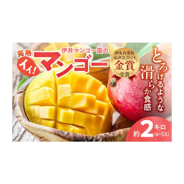 容量マンゴー 約2キロ（4〜5玉）【保存方法】冷蔵庫の野菜室で保存してください。※できるだけお早目にお召し上がりください。消費期限冷暗所で10日程度発送期日2026年7月中旬より順次発送予定配送冷蔵 時間指定 別送申込期日2026年7月15...