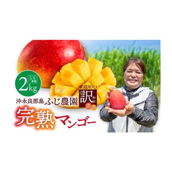 容量完熟マンゴー約2kg（5玉前後）【保存方法】到着後は冷蔵庫に保管しお早めにお召し上がりください。消費期限冷蔵で約1週間程度到着後は冷蔵庫に保管しお早めにお召し上がりください。発送期日2026年7月中旬より順次発送予定※気候状況によっては...