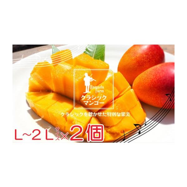 容量完熟クラシックマンゴー：300g〜400g × 2個（2026年6月中旬頃から収穫でき次第発送致します）消費期限賞味期限：青果物到着後すぐ（3日）発送期日2026年6月中旬頃から収穫でき次第順次発送いたします！楽しみにお待ちください！※...
