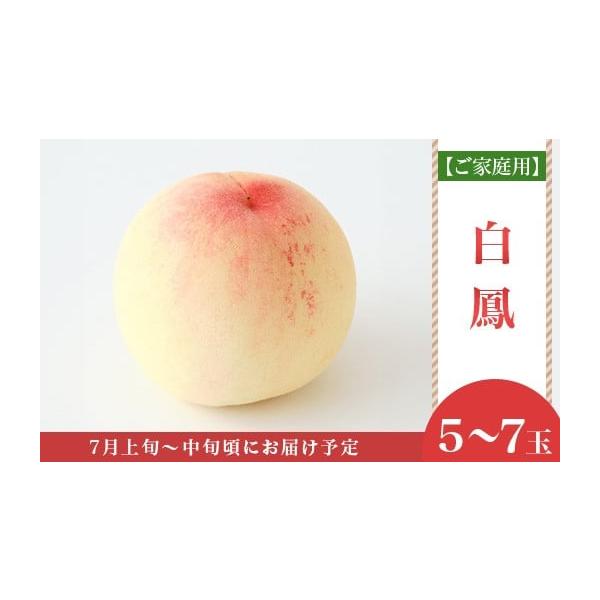 容量岡山白桃 白鳳 5〜7玉※1.5kg箱に入れてお送りします。※玉のサイズが不揃いの場合がございます。あらかじめご了承ください。消費期限賞味期限：出荷日＋5日※生鮮品のため、賞味・消費期限は非常に短くなっております。お早めにお召し上がりく...