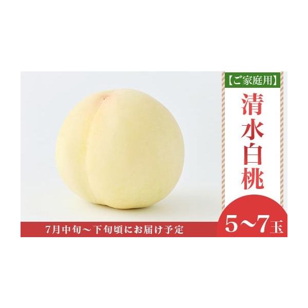 容量岡山白桃 清水白桃 5〜7玉※1.5kg箱に入れてお送りします。※玉のサイズが不揃いの場合がございます。あらかじめご了承ください。消費期限賞味期限：出荷日＋5日※生鮮品のため、賞味・消費期限は非常に短くなっております。お早めにお召し上が...