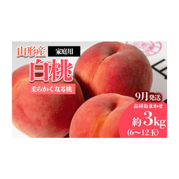 容量【令和8年産】桃 (白桃) 品種お任せ ご家庭用「柔らかくなる桃」優品 約3kg (6〜12玉程度)川中島・美晴・ゆうぞら・あぶくま・玉うさぎ・さくら・幸茜・伊達白桃・西王母等々※品種の指定をすることは出来ません発送期日2026年09月...