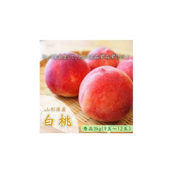 容量3kg　秀品消費期限発送日から6日発送期日2026年8月中旬頃〜2026年9月下旬頃に発送いたします。配送冷蔵 別送申込期日〜2026年08月30日事業者株式会社山美ファーム申込条件何度も申し込み可、オンライン決済限定