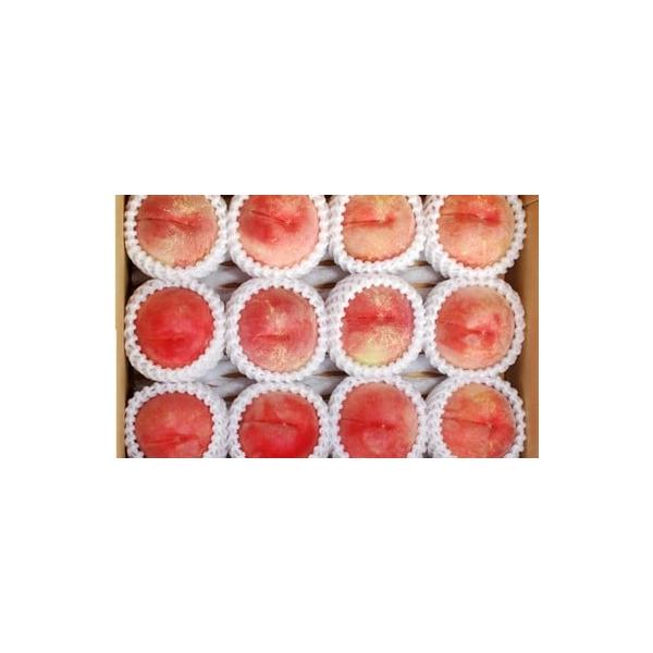 容量3kg前後(秀6〜12玉)消費期限1週間程度発送期日2026年8月下旬〜9月上旬※生育状況によってお届けが前後する場合がございます。【配達】ヤマト運輸配送常温 冷蔵 のし 時間指定 別送申込期日2026年8月31日まで事業者株式会社 野...