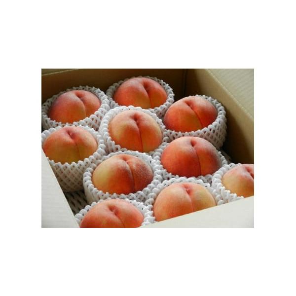 容量4kg前後(秀10〜16玉)消費期限1週間程度発送期日2026年8月下旬〜9月中旬※生育状況によってお届けが前後する場合がございます。【配達】ヤマト運輸配送常温 冷蔵 のし 時間指定 別送申込期日2026年8月31日まで事業者株式会社 ...