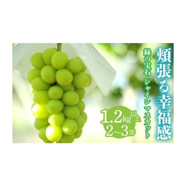 容量シャインマスカット 　1.2kg以上 2〜3房【提供】REGALO消費期限5日発送期日2026年8月下旬〜2026年10月上旬※写真はイメージです。※出荷は生育状況によるため、発送日の指定はお受けできません。配送常温 別送申込期日〜20...
