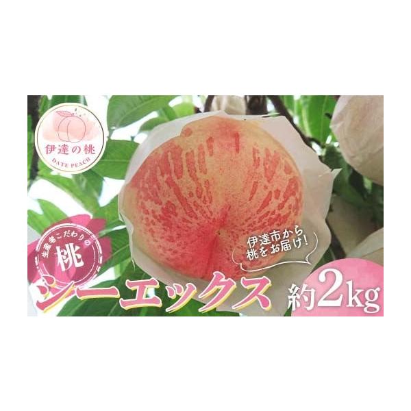 容量シーエックス 約2kg (5〜6玉)※収穫状況により発送時期が前後するため、前もって発送日を確定しにくい状況について何卒ご理解いただければ幸いです。※沖縄・離島へのお届けはできかねます。※桃はとてもデリケートな果物です。取扱いには十分ご...