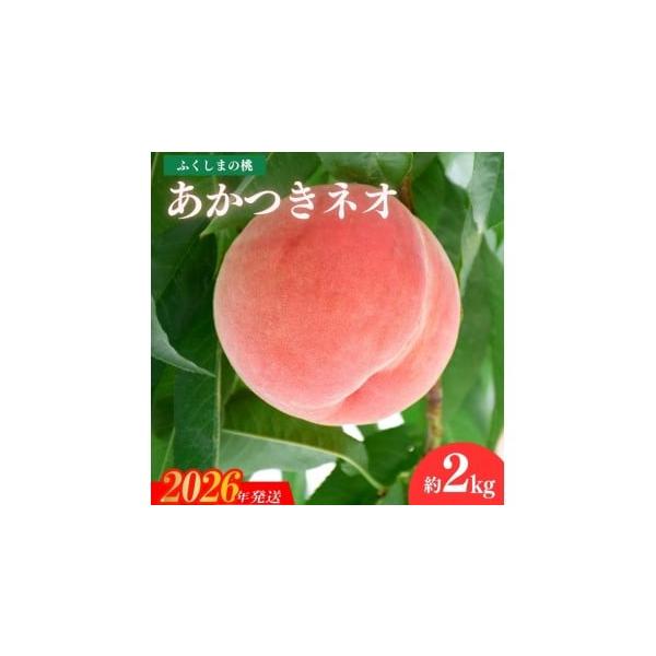 容量約2kg消費期限発送日+3日程度発送期日2026年8月上旬から2026年8月中旬発送予定配送冷蔵 時間指定 別送事業者果樹園きつない申込条件何度も申し込み可、オンライン決済限定