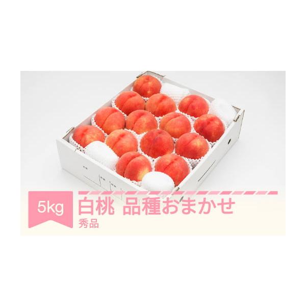 容量白桃 秀品 品種おまかせ 化粧箱入り約5kg（12〜18玉入り）※品種おまかせ（あかつき・いけだ・川中島白桃・伊達白桃・青空娘　等より1品種）※ももの種類はお選びいただけません。消費期限到着後お早めにお召し上がりください。発送期日202...