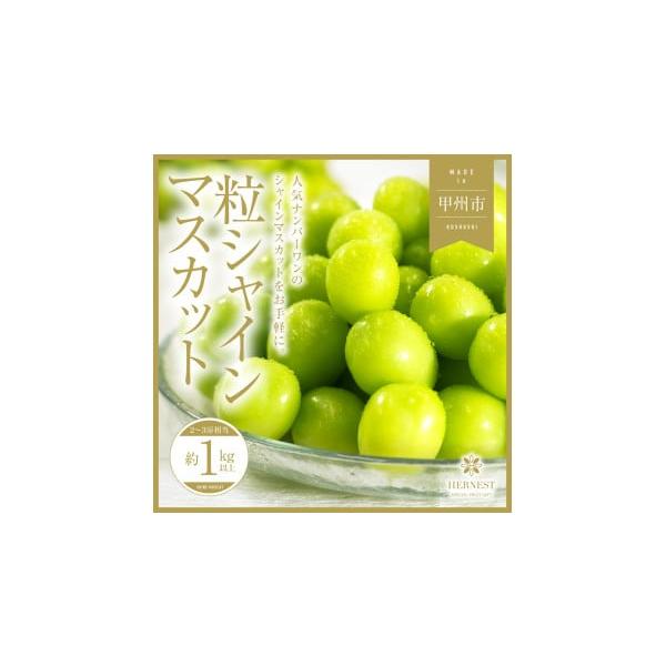 容量シャインマスカット 粒 1kg以上※専用の化粧箱に大切に梱包してお届けいたします。消費期限到着次第、お早めにお召し上がりください。発送期日2026年8月中旬〜10月下旬頃、順次発送予定※天候や収穫状況により出荷に変動がございます。（※沖...