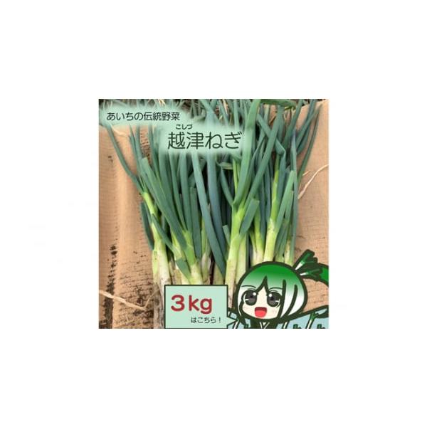 容量越津ねぎ　約3kg×1箱【数量限定：10セット】※お申込時の決済手段は、『オンライン決済限定』となります。＜その他の払込方法をご選択いただいても受付が出来ませんので何卒ご了承ください。＞消費期限賞味期限：出荷日より2週間発送期日令和7年...