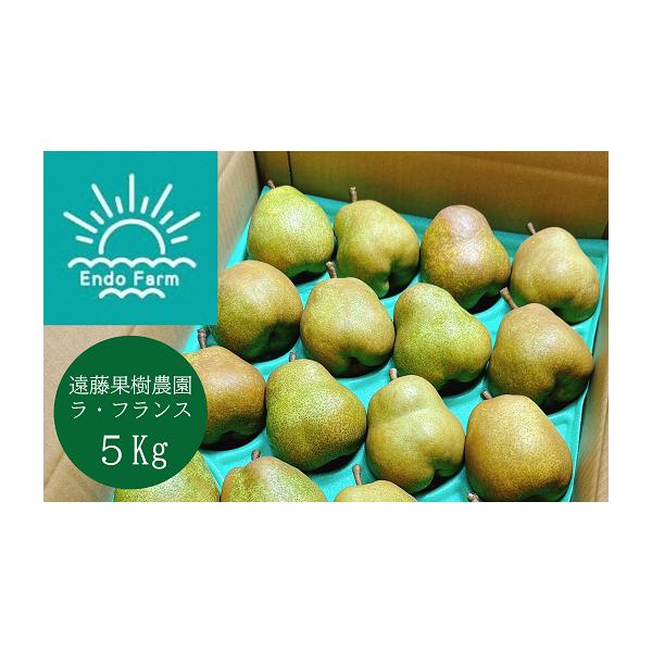 容量家庭用 ラ・フランス等級：秀容量：約5kgサイズ：L〜2L※玉の大きさはL（20玉入り）または2L（18玉入り）になります。サイズはお選びいただけませんのでご了承ください。消費期限追熟後は、お早めにお召し上がりください。発送期日令和8年...