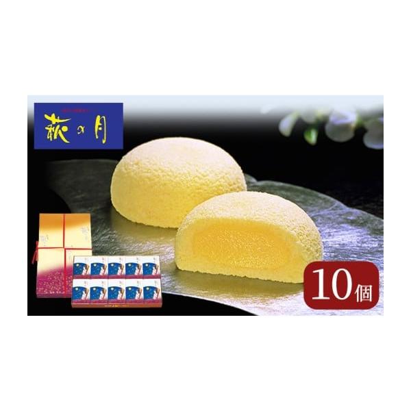 容量萩の月10個入り消費期限常温 最長18日発送期日配送常温 別送事業者株式会社菓匠三全申込条件何度も申し込み可