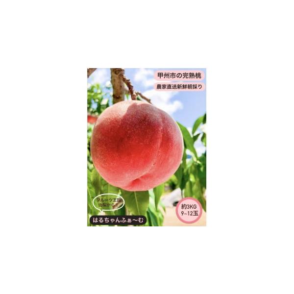 容量桃 約3kg（9〜12玉）消費期限到着次第、お早めにお召し上がりください。発送期日2026年7月中旬〜8月中旬頃、順次発送予定※天候や収穫状況により出荷に変動がございます。（※北海道・九州・四国・中国・沖縄・離島へのお届けはできかねてお...