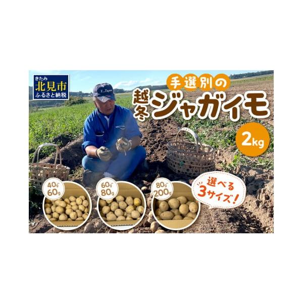 容量越冬ジャガイモ 2kg■選べる3サイズ　↓↓下記よりお選びください。↓↓・1玉あたり 40g〜60g・1玉あたり 60g〜80g・1玉あたり 80g〜200g※ご希望のサイズを『備考欄』へご記載いただくか、サポート室までご連絡ください。...