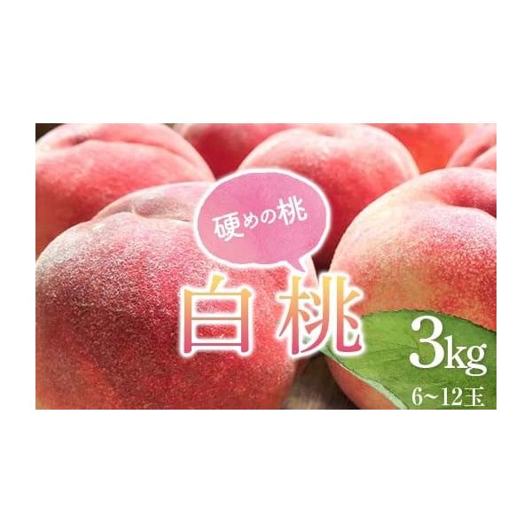 容量山形県産 白桃  秀品 3kg※あまり柔らかくならない桃消費期限製造・加工後 7日以内発送期日2026年8月中旬頃〜9月下旬頃配送冷蔵 時間指定 別送申込期日2026年8月30日まで事業者株式会社山美ファーム申込条件何度も申し込み可、オ...