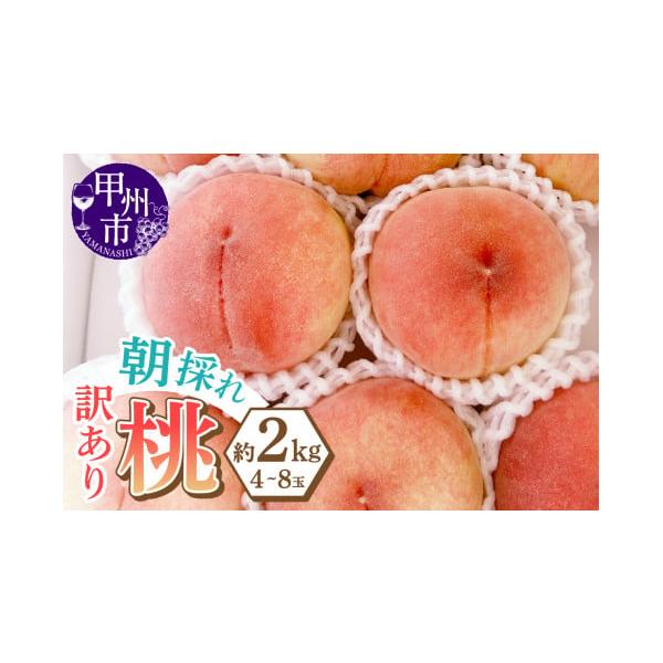 容量訳あり桃 約2kg（4〜8玉）【注意事項】※上記注意事項を必ずご確認ください。※画像はイメージです。※収穫時期により発送時期が前後するため、前もって発送日を確定しにくい状況や、寄附者様に良い状態で果物を楽しんでいただきたい思いから一定の...