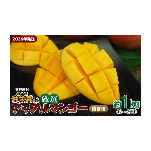 容量アップルマンゴー約1kg（2〜3玉）※玉数の指定はできません。大きさによって数量は変わりますのでご了承ください。消費期限商品到着後、冷蔵庫で冷やしてできるだけお早めにお召し上がりください。発送期日2026年7月中旬から8月初旬にかけて順...