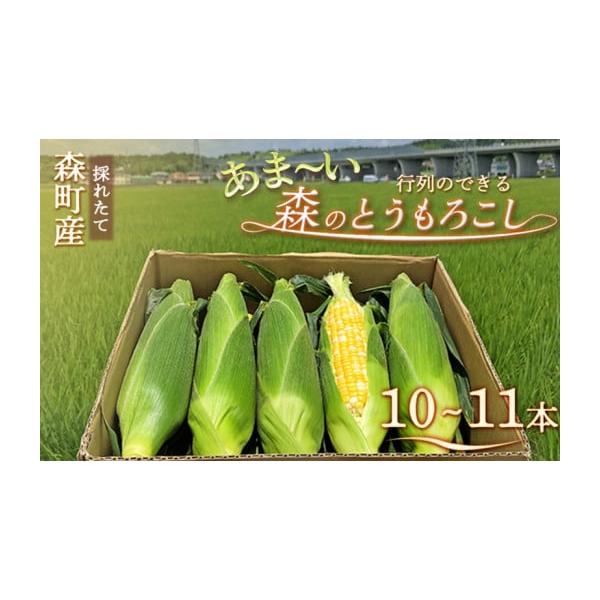 容量・森のとうもろこし 10〜11本入り・静岡県周智郡森町産消費期限冷蔵3〜4日(目安)発送期日2026年6月上旬から順次発送配送冷蔵 別送事業者しんちゃん農園申込条件何度も申し込み可