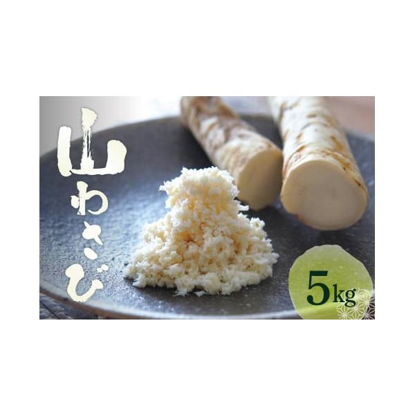 容量5kg消費期限■賞味期限冷蔵 1週間程度発送期日入金確認後1〜2週間程度配送冷蔵 別送申込期日通年事業者株式会社GB産業化設計申込条件何度も申し込み可