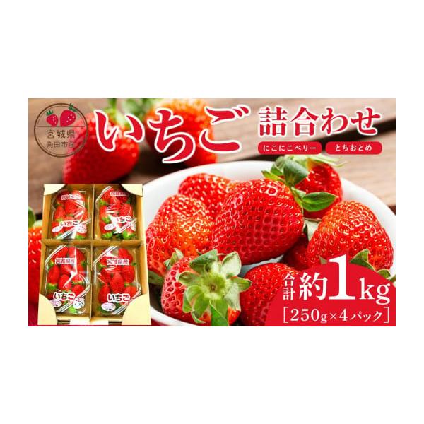 容量にこにこベリー（約250g×2パック）とちおとめ（約250g×2パック）合計：4パック 約1kg消費期限発送後5日間（到着後は冷蔵保存で、お早めにお召し上がりください）発送期日2026年1月初旬頃〜2026年4月下旬まで、順次発送いたし...