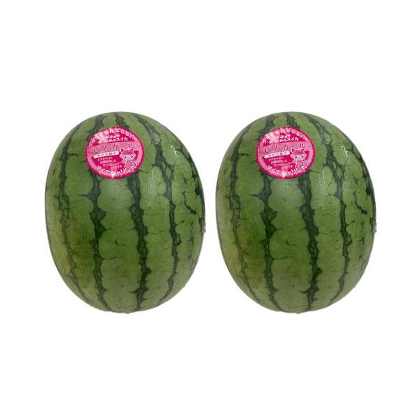 容量2玉入り(1玉あたり1.5kg以上)消費期限5日発送期日寄附確認後、2026年5月上旬〜6月下旬迄順次発送予定配送常温 時間指定 別送申込期日2026年6月5日まで寄附申込受付事業者有限会社マルイチ西川商店申込条件何度も申し込み可