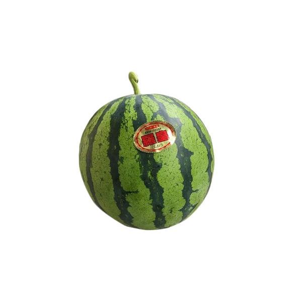 容量1玉入り(5kg以上)消費期限5日発送期日寄附確認後、2026年5月上旬〜6月下旬迄順次発送予定配送常温 時間指定 別送申込期日2026年6月15日まで寄附申込受付事業者有限会社マルイチ西川商店申込条件何度も申し込み可