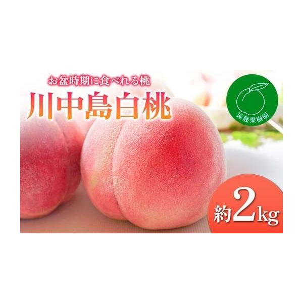 容量川中島白桃 約2kg (5〜9玉)※収穫状況により発送時期が前後するため、前もって発送日を確定しにくい状況について何卒ご理解いただければ幸いです。※沖縄・離島へのお届けはできかねます。※桃はとてもデリケートな果物です。取扱いには十分ご注...