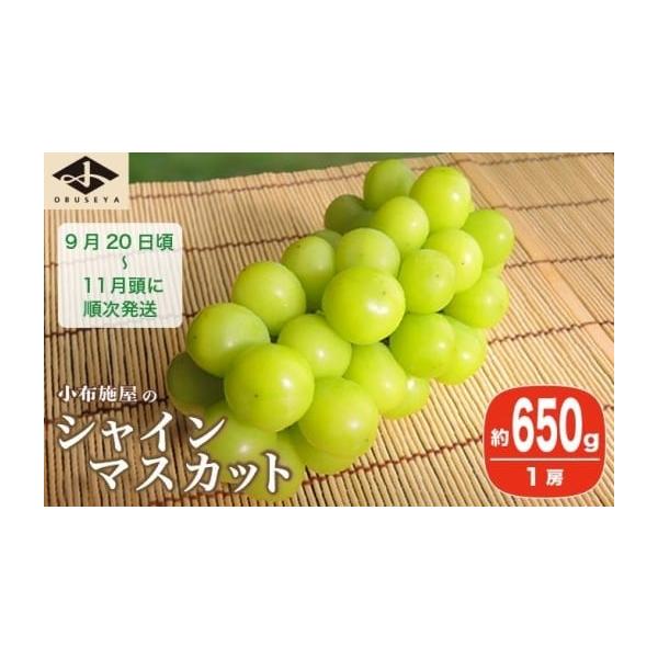 容量シャインマスカット 約650g（1房）発送期日2026年9月20日頃〜11月頭にかけて順次発送予定※天候や収穫状況により、お届けや規格が変更になる場合がございます。小布施町のシャインマスカットの収穫時期は概ね9月中旬以降〜11月頭となり...
