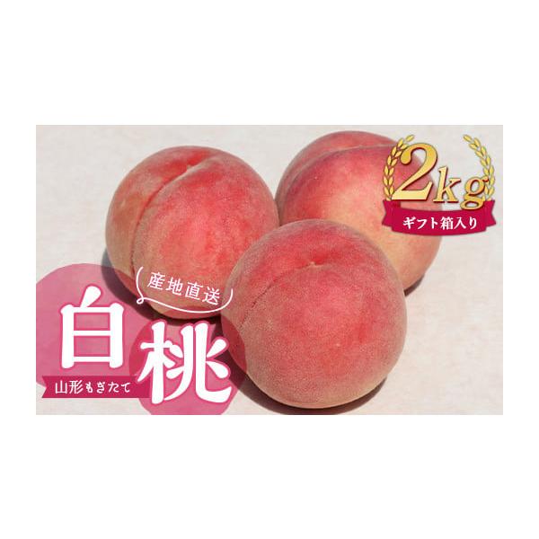 容量もぎたて白桃2kg（6玉〜9玉）ギフト箱入り消費期限製造・加工後7日以内発送期日2026年7月下旬〜9月下旬まで配送常温 別送申込期日2026年9月10日まで事業者やまがた直送市場申込条件何度も申し込み可、オンライン決済限定