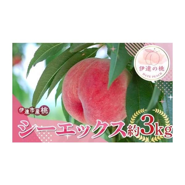 容量シーエックス 約3kg (6〜12玉)※収穫状況により発送時期が前後するため、前もって発送日を確定しにくい状況について何卒ご理解いただければ幸いです。※沖縄・離島へのお届けはできかねます。※桃はとてもデリケートな果物です。取扱いには十分...