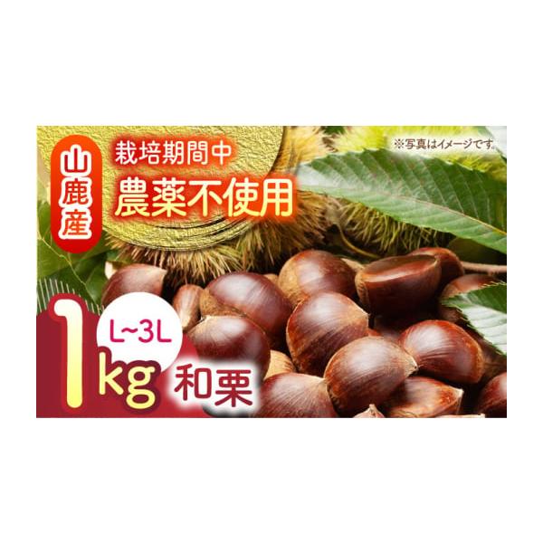 容量和栗 約1kg（サイズはL〜3Lバラバラに入っています）【原料原産地】山鹿市消費期限【賞味期限】到着後お早めにお召し上がりください。発送期日【2026年】9月下旬〜10月中旬に順次発送致します。※天候により配送期間が予告なく前後する可能...