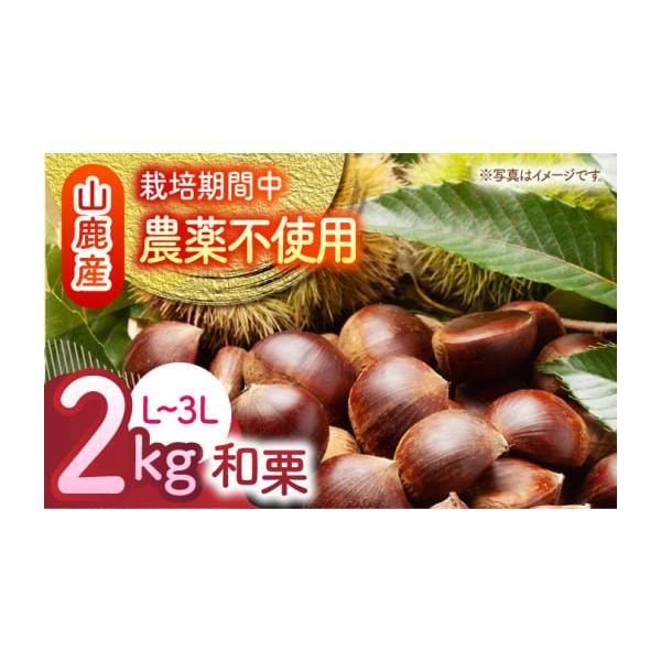 容量和栗 約2kg（約1kg×2袋、サイズはL〜3Lバラバラに入っています）【原料原産地】山鹿市消費期限【賞味期限】到着後お早めにお召し上がりください。発送期日【2026年】9月下旬〜10月中旬に順次発送致します。※天候により配送期間が予告...