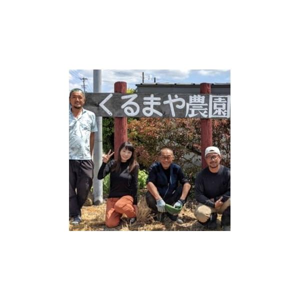 容量大玉すいか（羅皇ザ・スウィート）１個　６.５ｋｇ以上※天候により出荷時期や規格（数、サイズ、品種等）を変更する場合がございます。発送期日２０２６年８月上旬〜８月中旬迄※ご不在日が多く配達が困難な場合、お礼品や配送先の変更をお願いする場合...