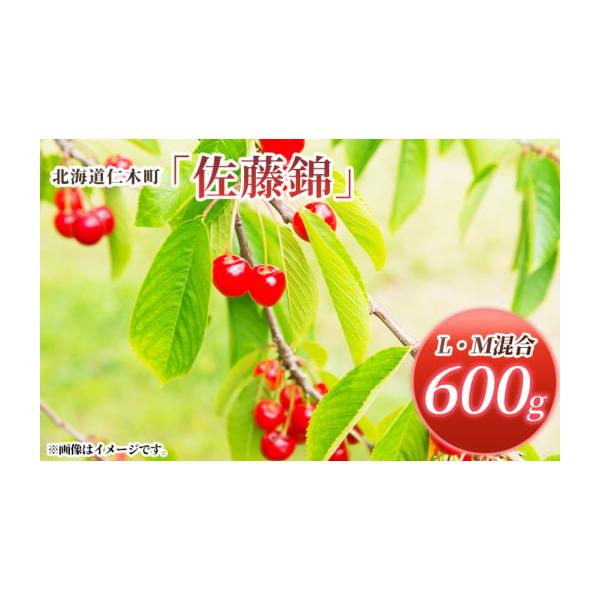 容量さくらんぼ（品種：佐藤錦）600g（300g×2パック）サイズ：L・M混合サイズ産地：北海道仁木町※お早めにお召し上がりください。※賞味期間：発送から3日程度（冷蔵）※ふるさと納税返礼品地場産品基準(平成31年総務省告示第179号第5条...