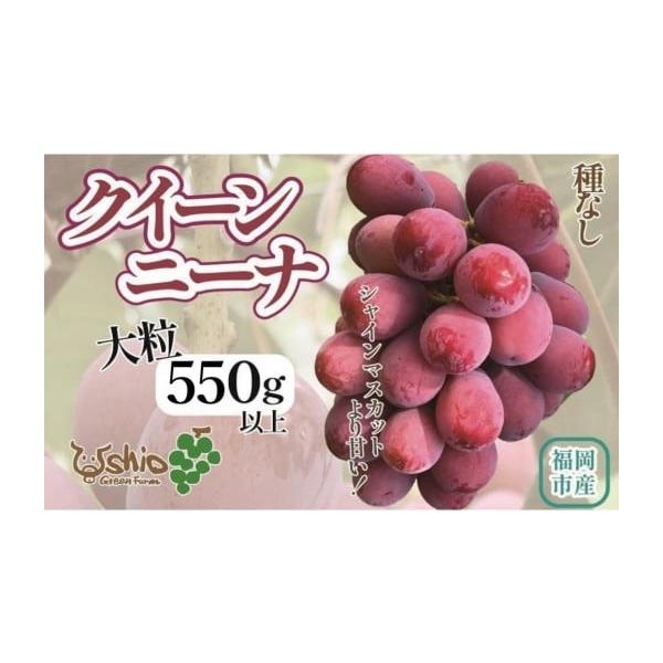 容量クイーンニーナ550グラム以上1房消費期限発送日より冷蔵で5日【冷蔵で保存してください。】発送期日2026年8月1日〜2026年9月20日配送冷蔵 時間指定 別送申込期日〜2026年9月15日まで事業者株式会社牛尾グリーンファーム申込条...