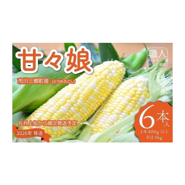 容量1本400g以上、６本入り　約2.5kg消費期限ご到着後はお早めにお召し上がりください。発送期日2026年6月上旬から順次発送予定＜配送について＞・返礼品は配送元事業者の「Kai Sweet Farm」から直接配送させていただきます。・...